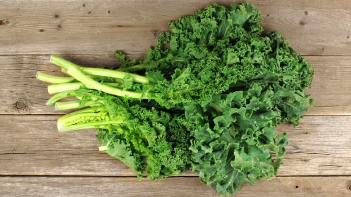 Kale: qué es y qué beneficios esconde esta col rizada - Recetuquis